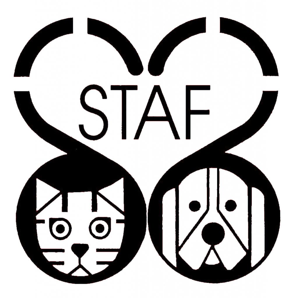 Save The Animals Foundation - Magnified Giving Approved Nonprofits