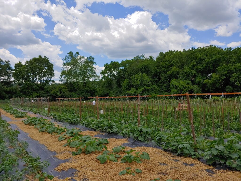 Valley View Nature Preserve - Magnified Giving Approved Nonprofits