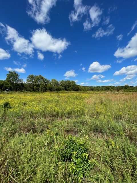 Valley View Nature Preserve - Magnified Giving Approved Nonprofits