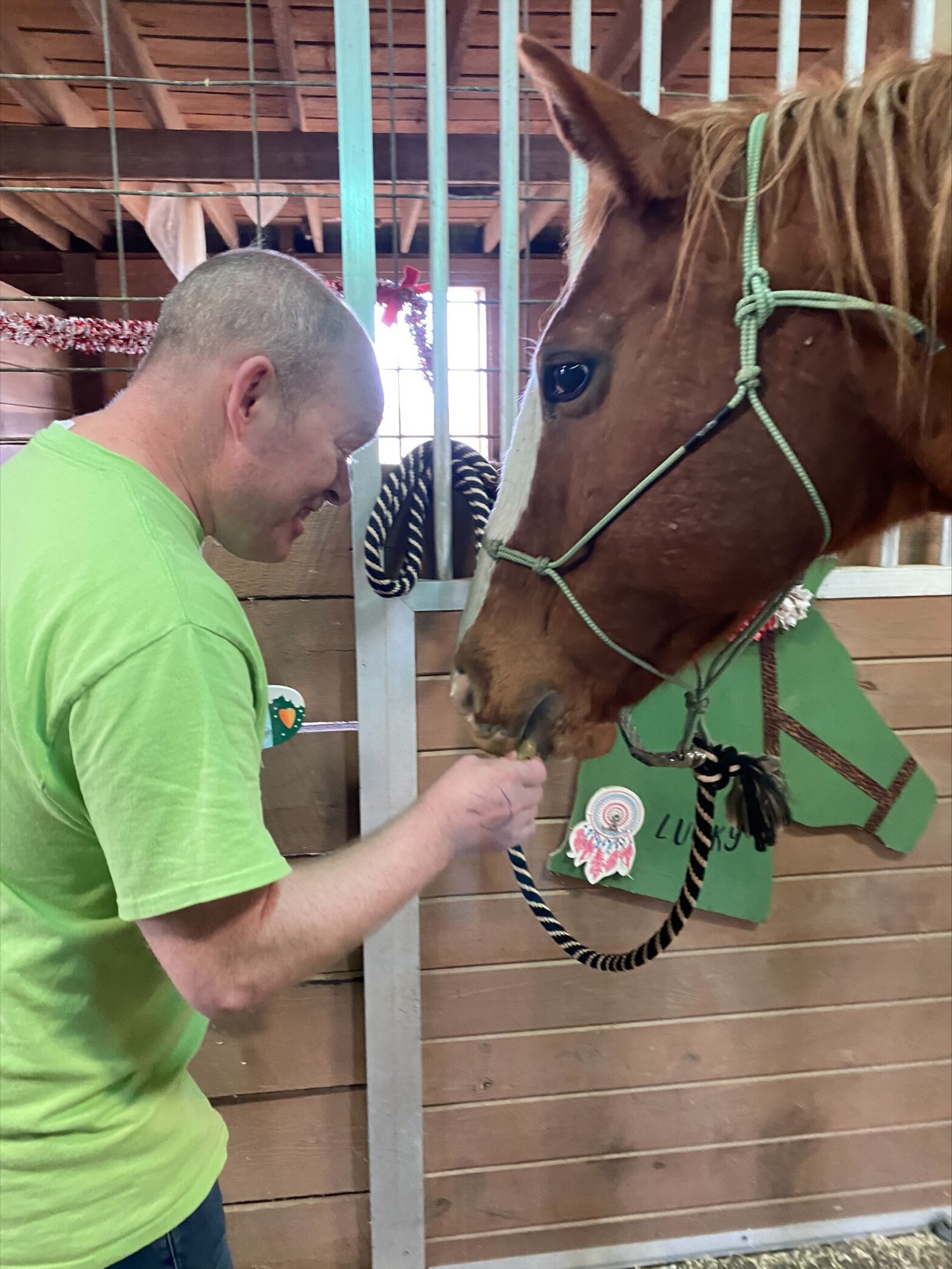 Safe Haven Farms, Inc. - Magnified Giving Approved Nonprofits